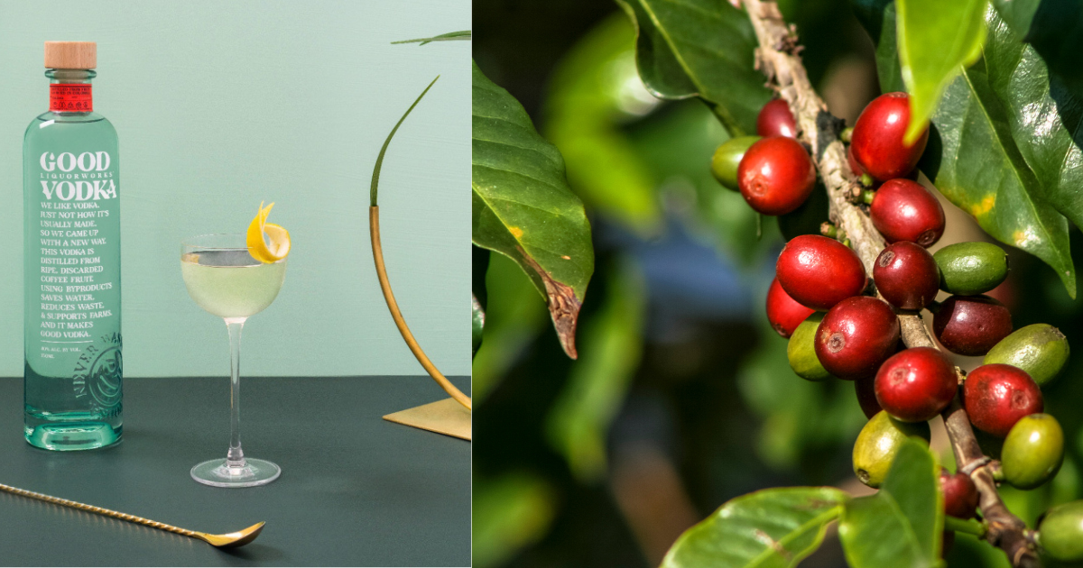 Vodka's Evolution Includes CO2, Coffee Fruit, and Old Baked Goods - Santé.Food.Wine.Spirits.